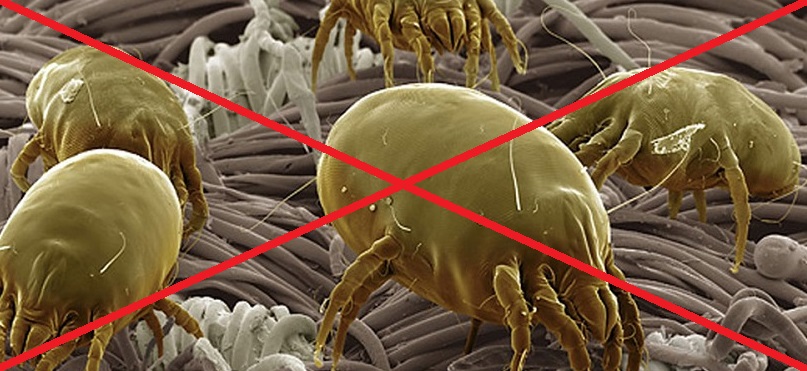 Come eliminare gli acari dal materasso in modo naturale